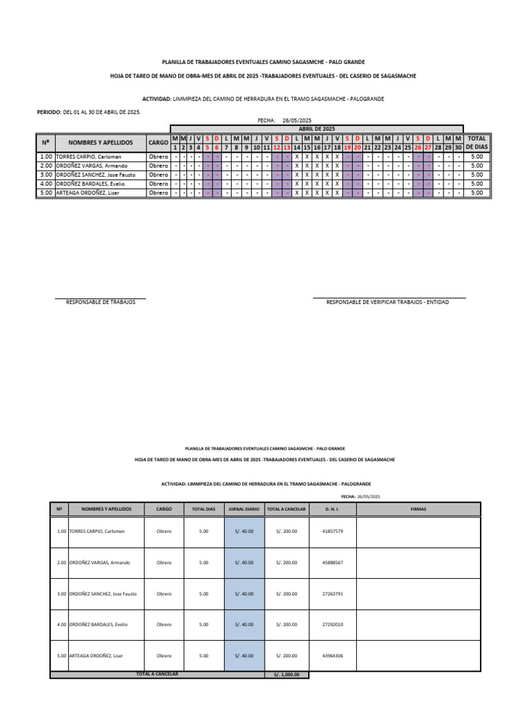 Planilla Lizardo | PDF