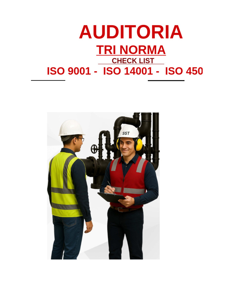 Check List Tri Norma | PDF | Auditoría | Planificación