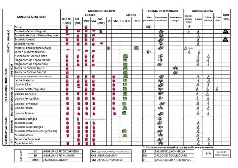 Guia Bacter Cultivos | PDF | Especialidades Medicas | Fluidos corporales