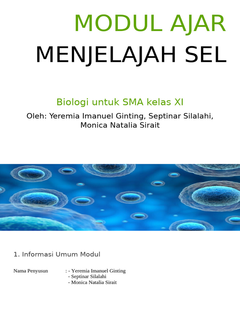Modul Ajar 1-Sym | PDF