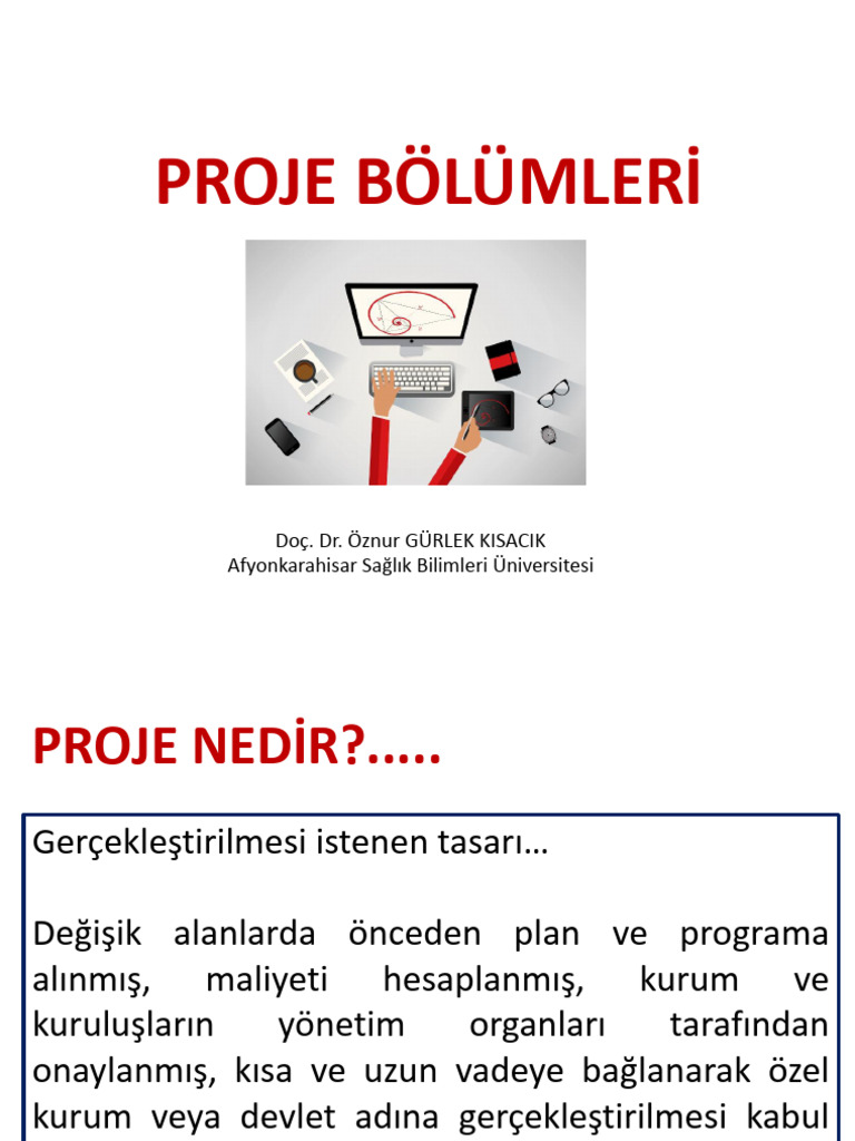 Oznur Gurlek Kisacik | PDF