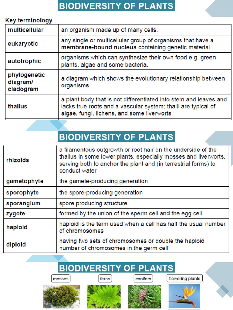 Biodiversity of Plants | PDF | Reproduction | Organisms