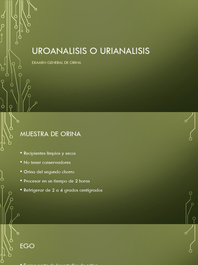 Uroanalisis o Urianalisis | PDF