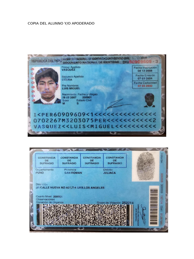 Datos Adjuntos | PDF