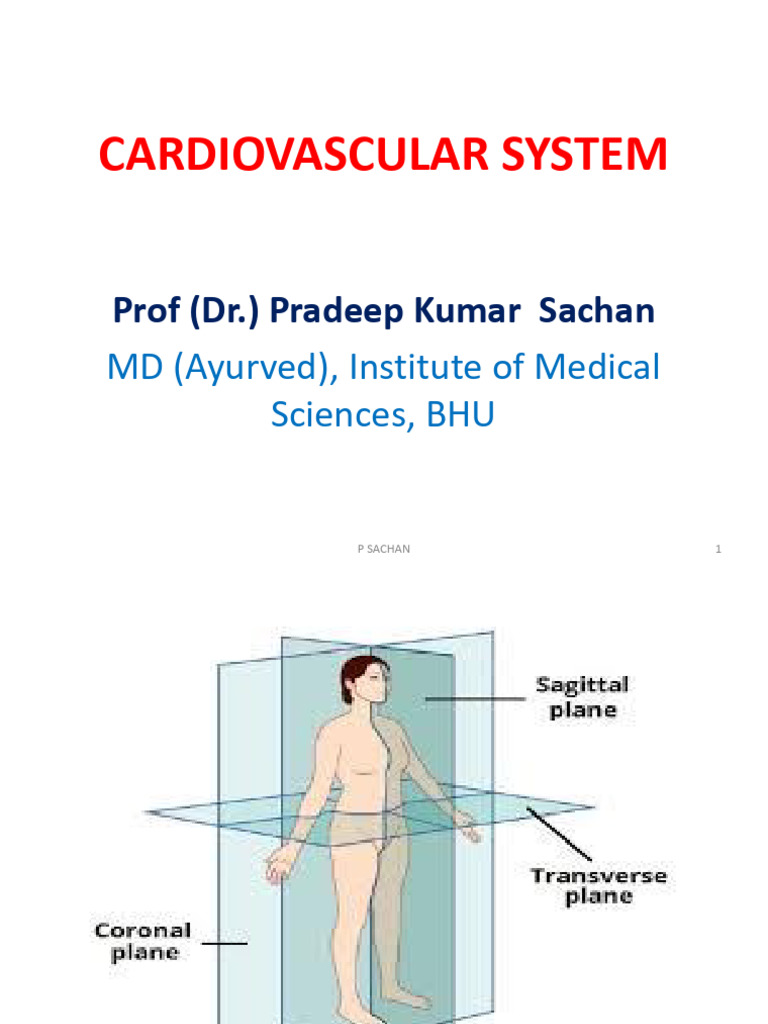 Cardiovascular System - 014744 | PDF | Heart Valve | Ventricle (Heart)
