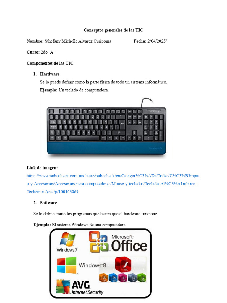 Conceptos Generales de La Tic | PDF | Hardware de la computadora | Internet