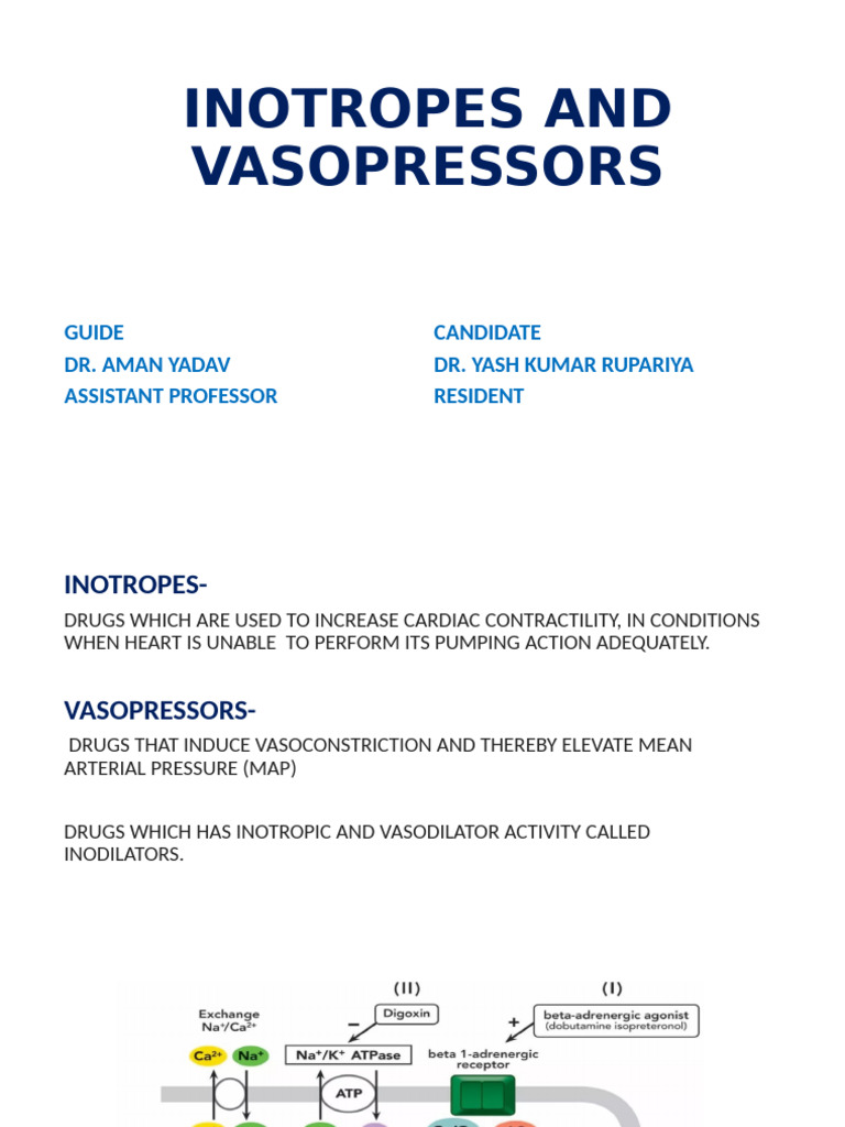 Inotropes and Vasopressors | PDF | Vasodilation | Heart