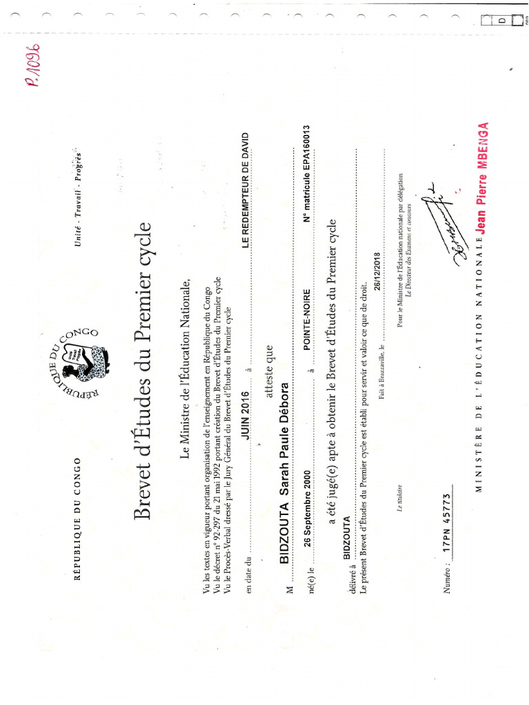 CEPE | PDF