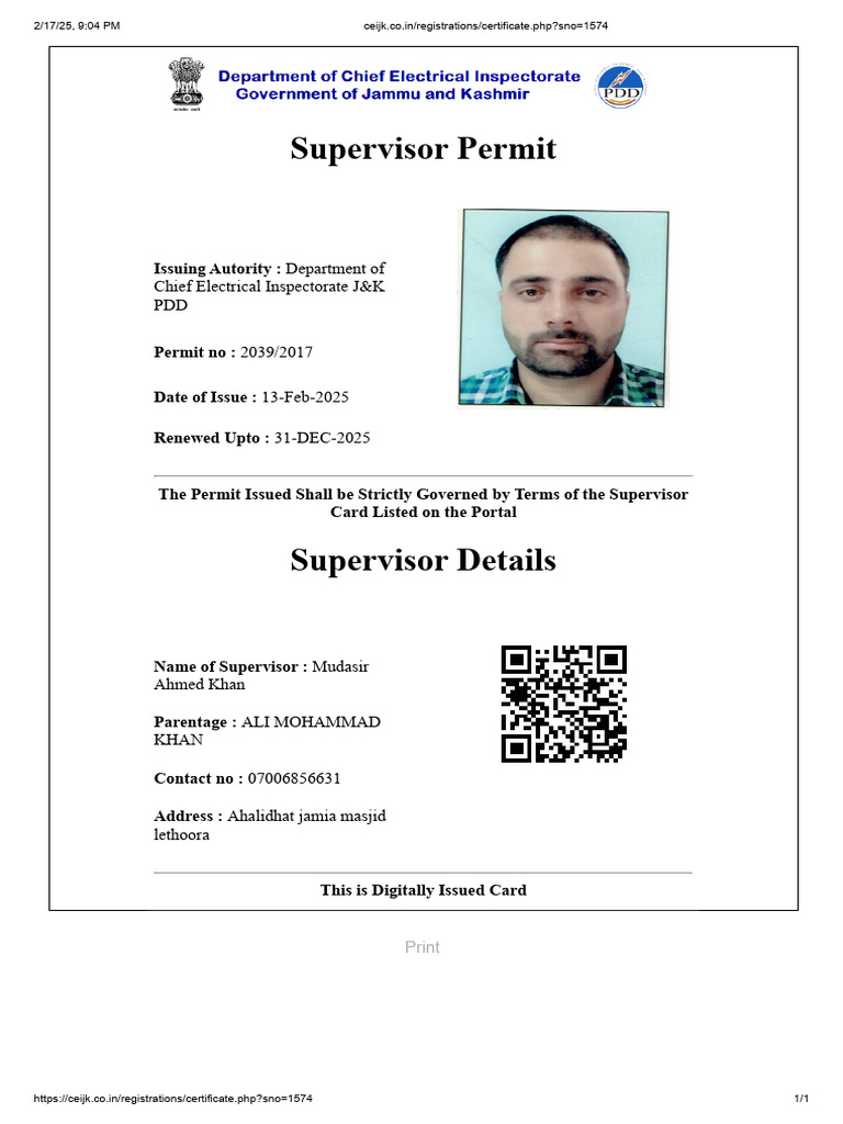 Supervisor Permit - Chief Electrical Inspectorate | PDF