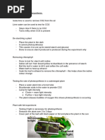 Destarching The Leaf | PDF | Photosynthesis | Leaf