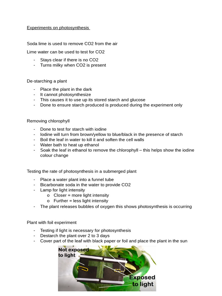 Photosynthesis Experiments GR 11 | PDF