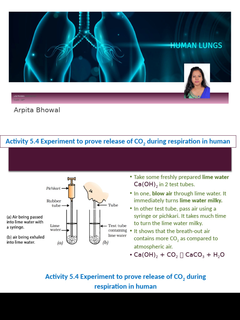 Respiration Process and Experiments | PDF | Cellular Respiration ...