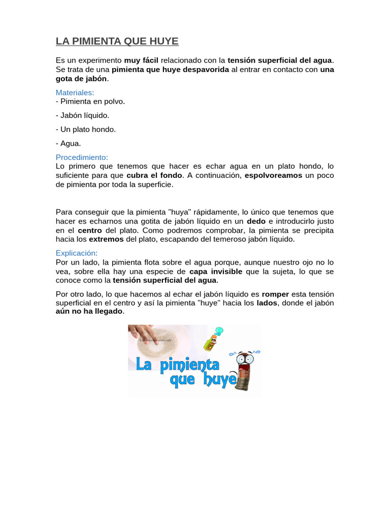 La Pimienta que Huye: Experimento Sencillo | PDF