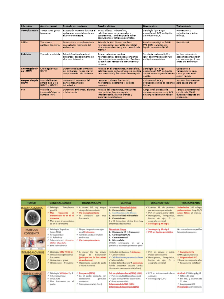 Tabla Torch | PDF | Medicina CLINICA | Especialidades Medicas