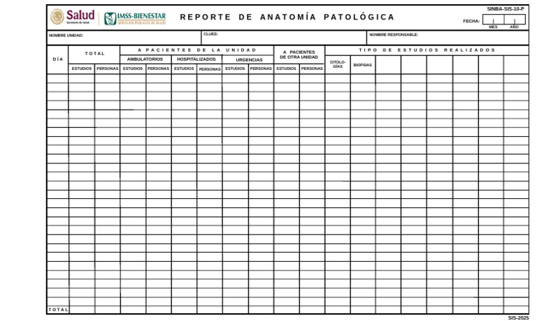 SINBA-SIS-10-P 2025 SC | PDF