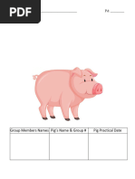 PiG Anatomy | PDF