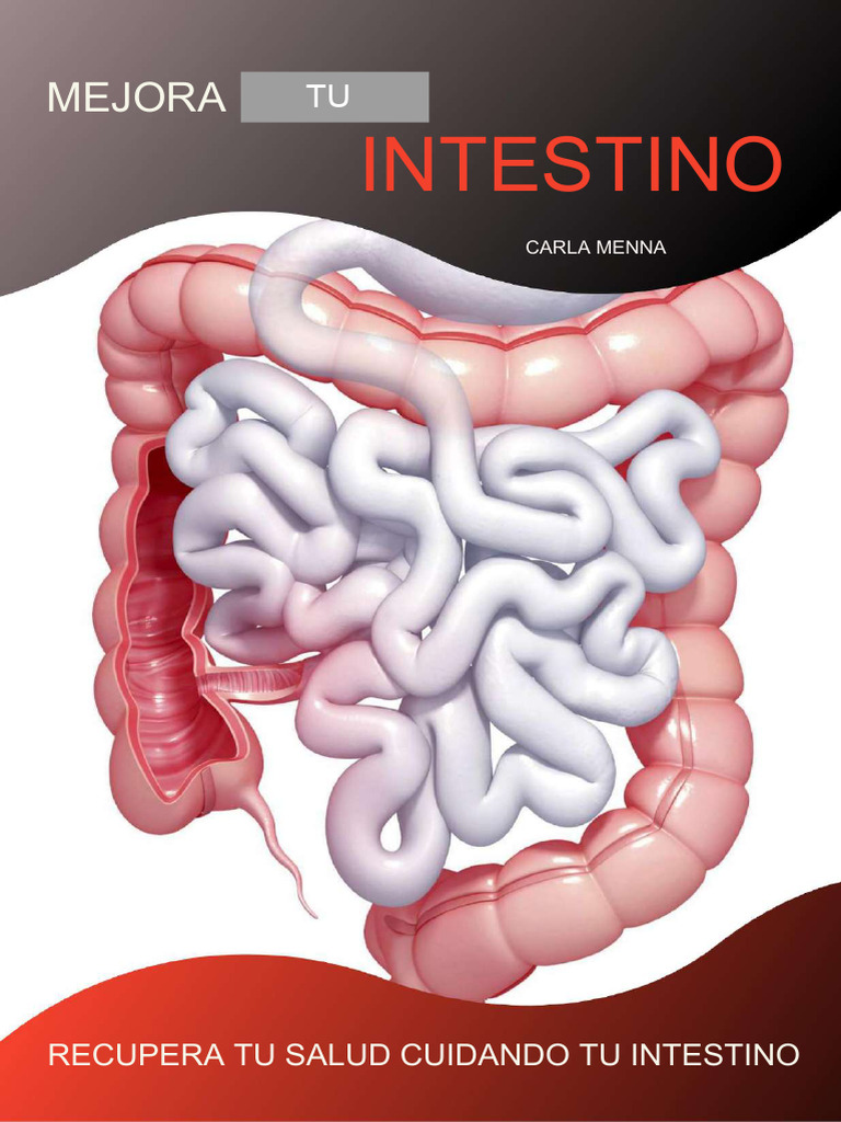 Mejora Tu Salud Intestinal Hoy Pdf Heces Alergia