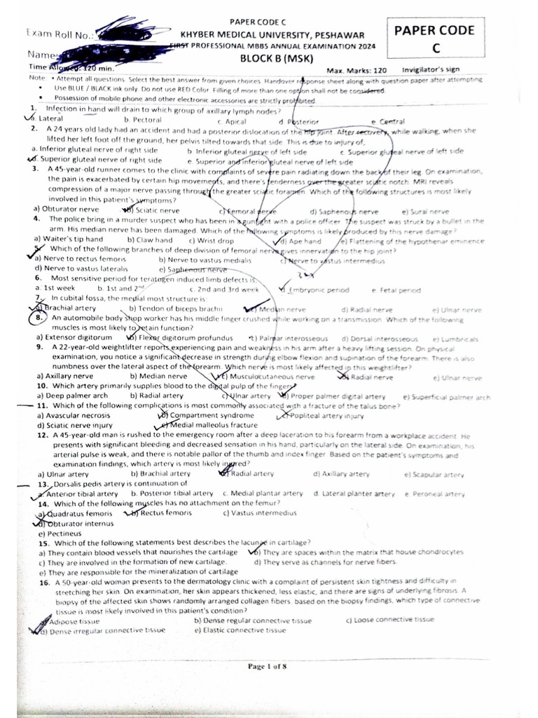 Kmu-prof B-2024 by Dbs | PDF