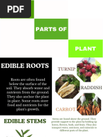 Parts of The Plant That We Can Eat | PDF | Fruit | Vegetables