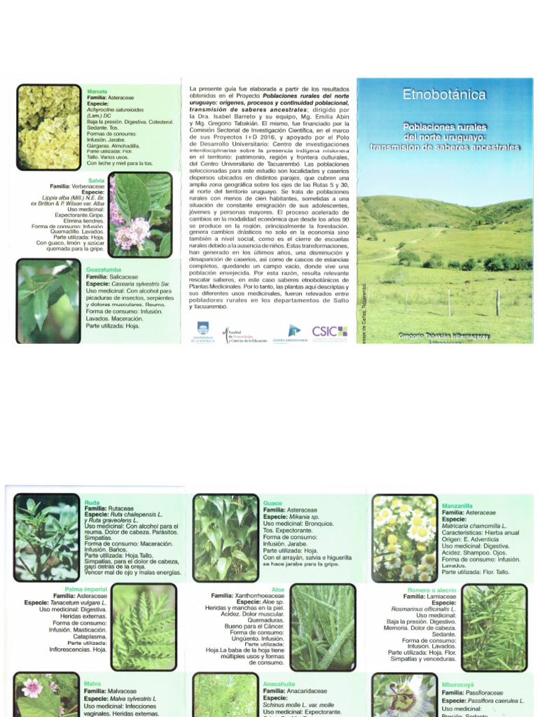 Tabakian. Etnobotanica. Folleto 2 | PDF