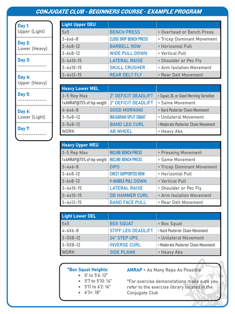 DtfAUPiS0eZGGo0K2RvA - Beginners Guide - Module 3 - Program Example | PDF