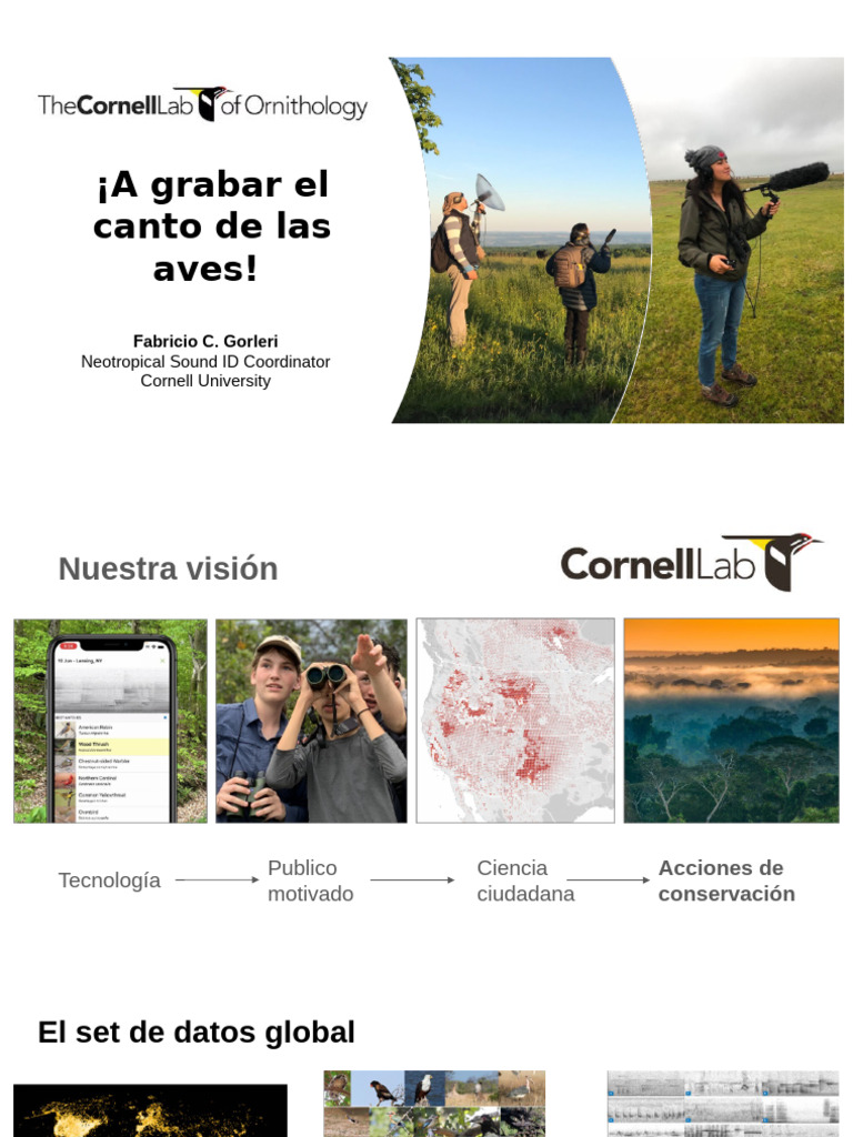 Taller de Grabación de Sonidos de Aves | PDF | Micrófono | Producción ...