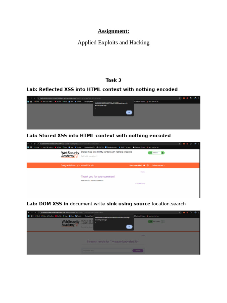 Applied Exploit and Hacking 4 | PDF