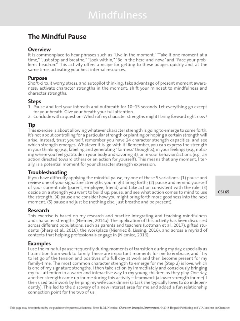 Niemic CSI CSI-Handouts CSI-65 | PDF | Mindfulness | Cognition