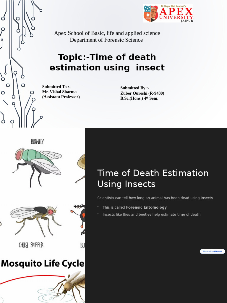 Time of Death Estimation Using Insects | PDF