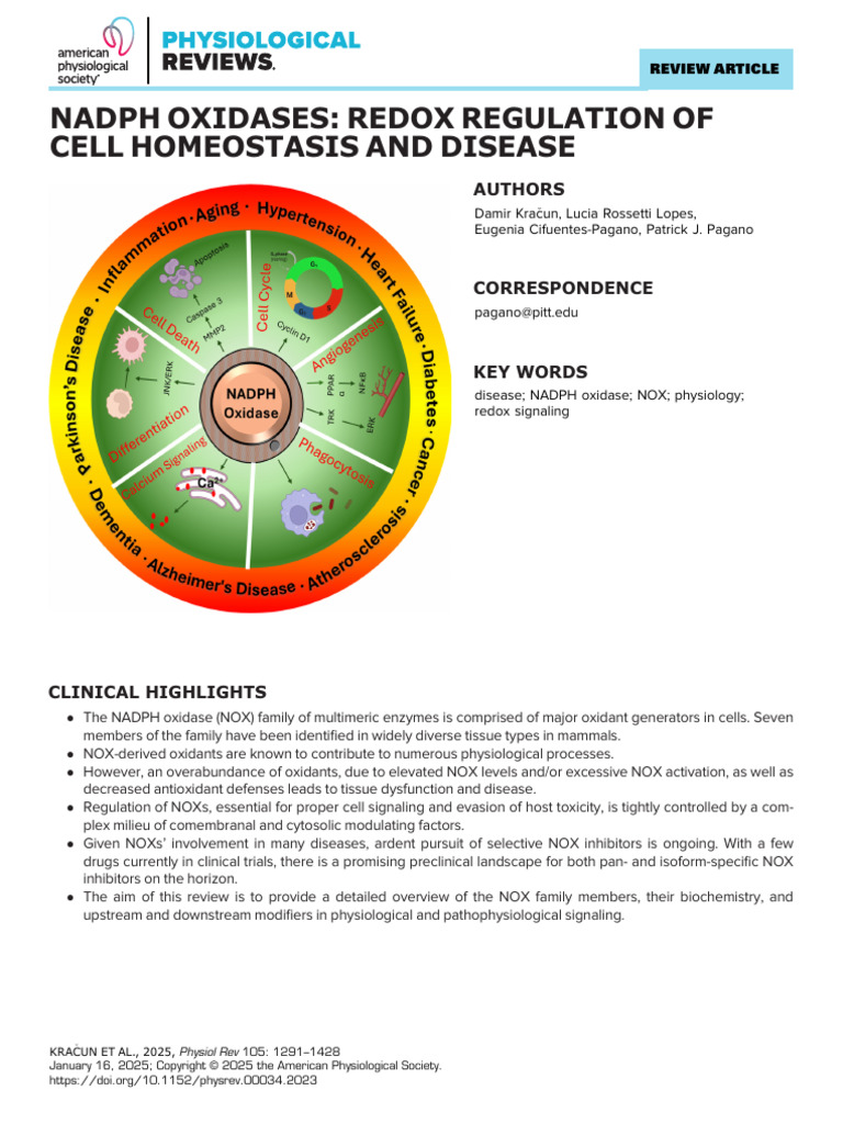 NADPH Oxidases - Redox Regulation of Cell Homeostasis and Disease ...