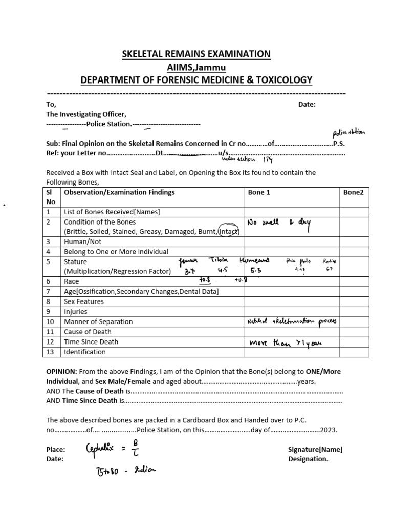 Skeletal Remains Examination Format | PDF
