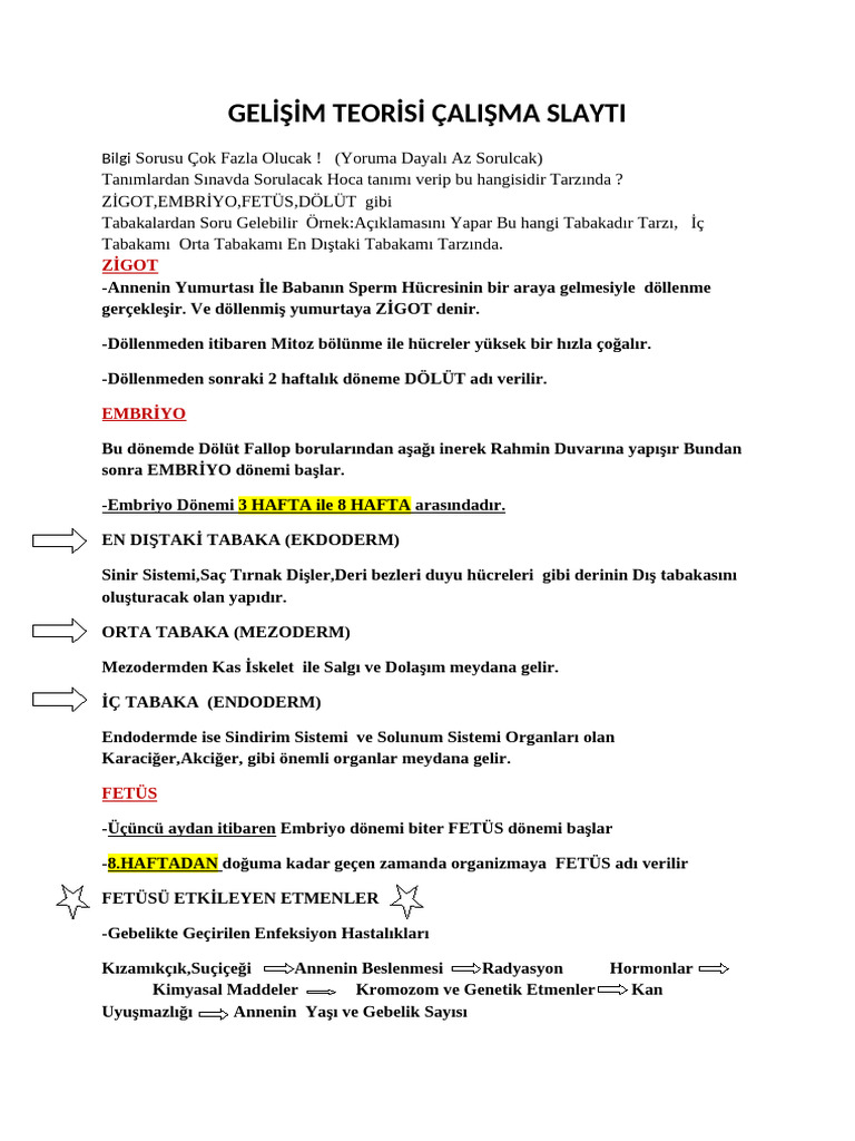 Gelişim Teorisi Slayt | PDF