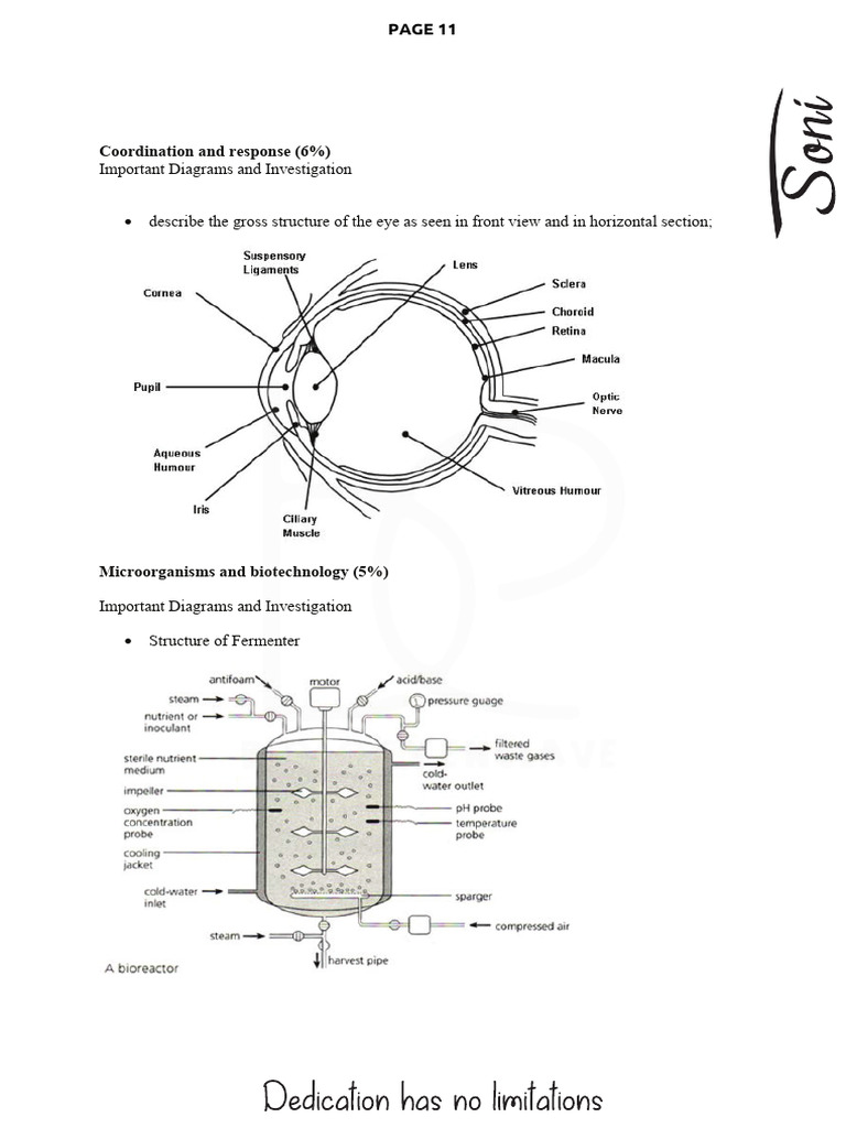 Check List Imp Diagram Ramzan A4 New Pages 11 | PDF
