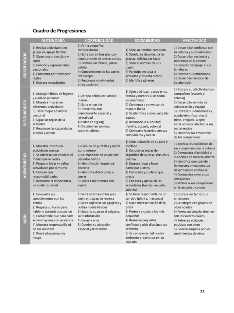 Insignias de Progresion | PDF