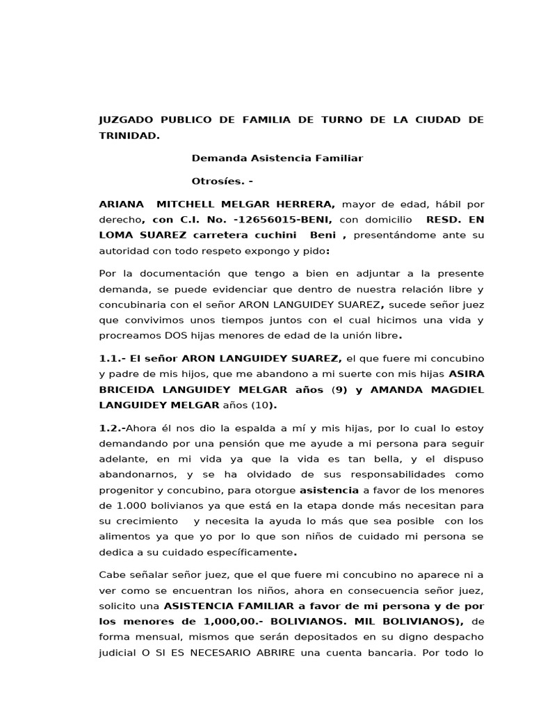 Demanda de Asistencia Familiar ARIANA MITCHELL MELGAR | PDF | Justicia ...