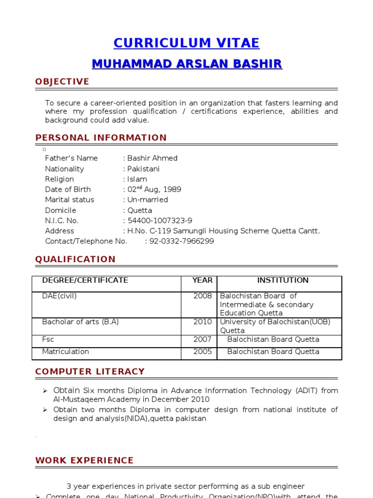 Muhammad Arslan Bashir CV | PDF