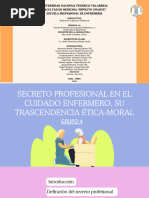El Secreto Profesional en Enfermeria | PDF