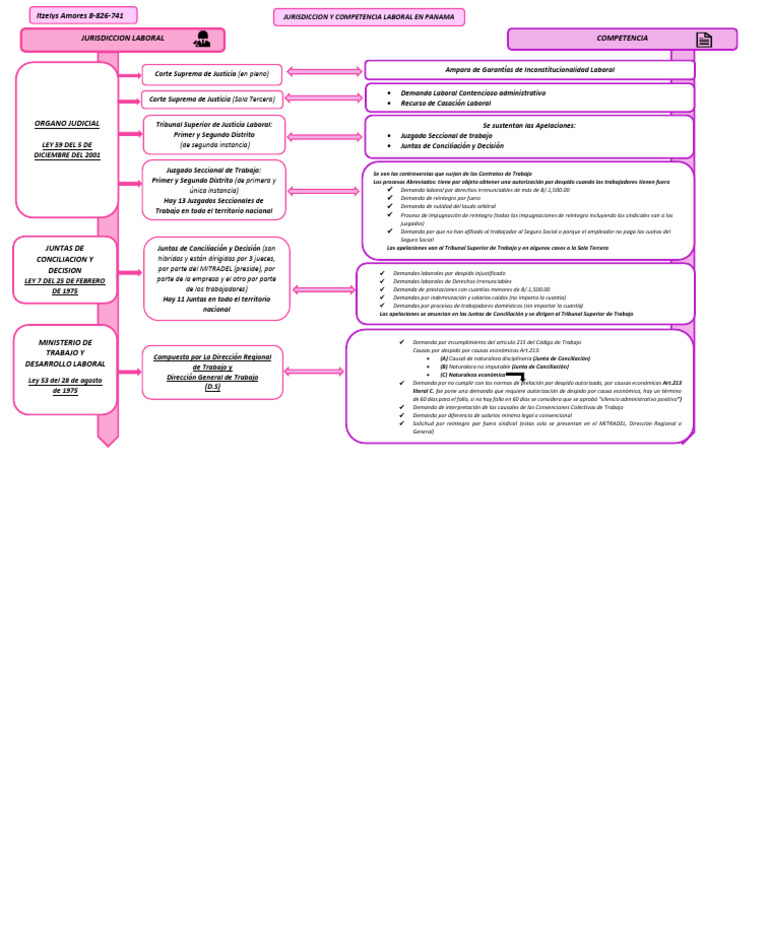 Esquema 1 de Procesal Laboral 23 | PDF | Judicaturas | Derecho laboral