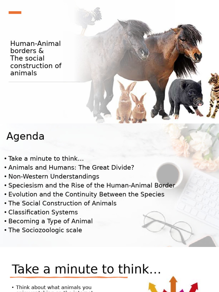 Understanding the Sociozoologic Scale | PDF