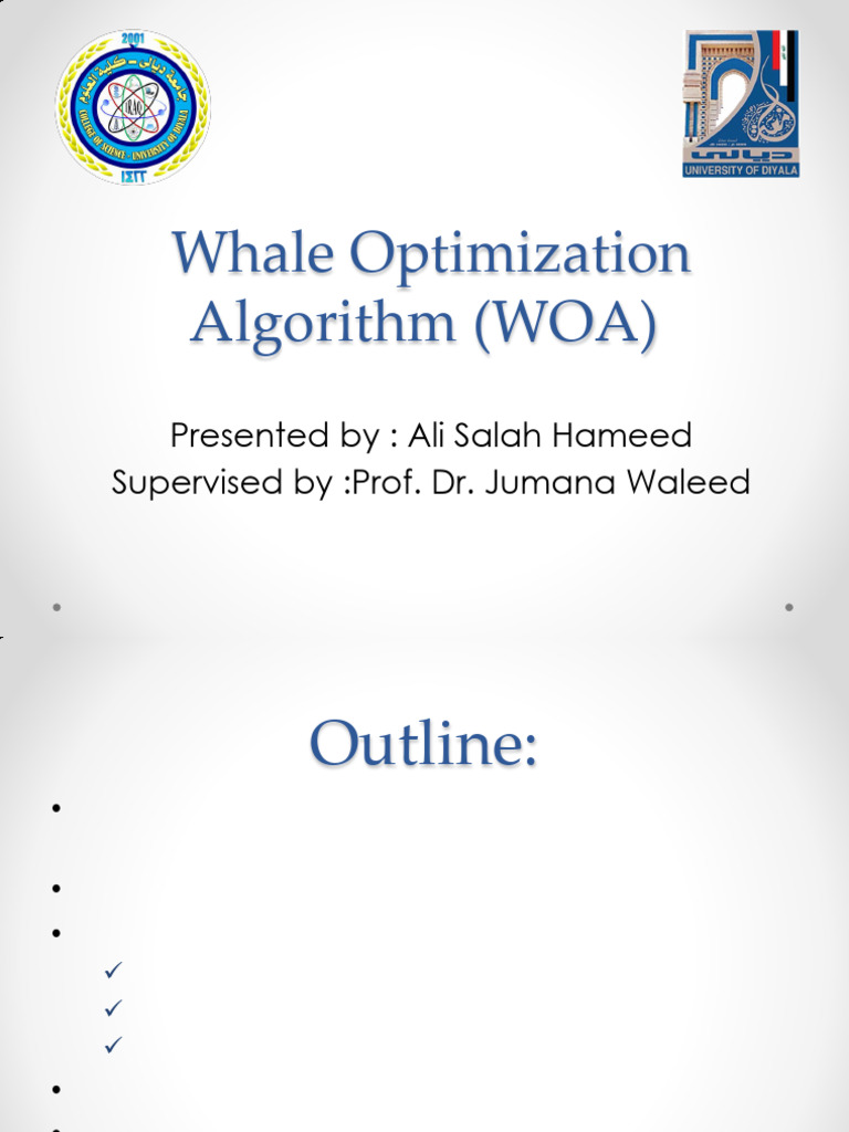 Ali Salah Meta Whale Optimization | PDF | Whales | Foraging