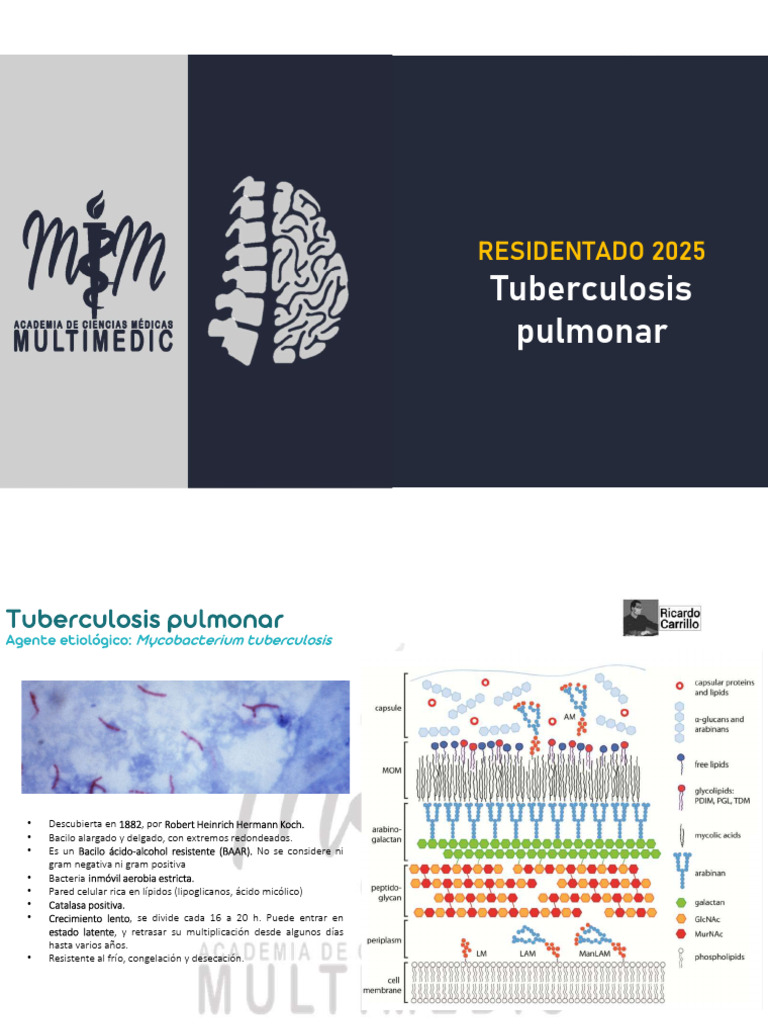 Tuberculosis Pulmonar | PDF | Tuberculosis | Medicina