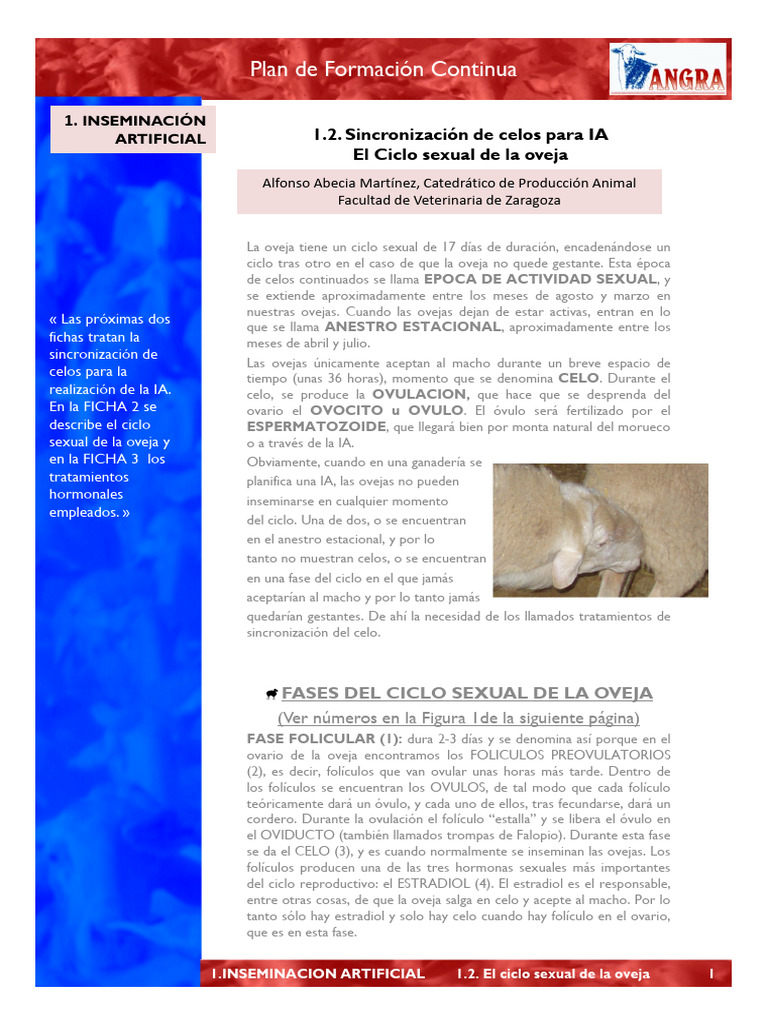 FICHA 2. Sincronización de Celos Para IA. El Ciclo Sexual de La Oveja | PDF | Hormona ...