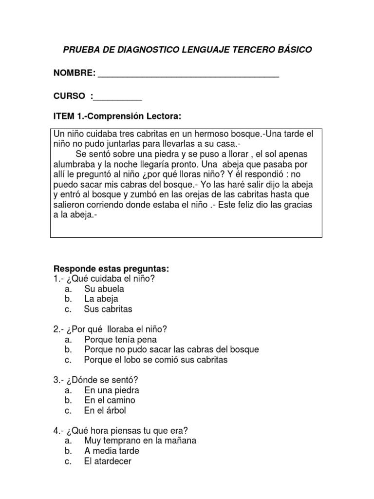 PRUEBA DE LENGUAJE TERCERO BÁSICO