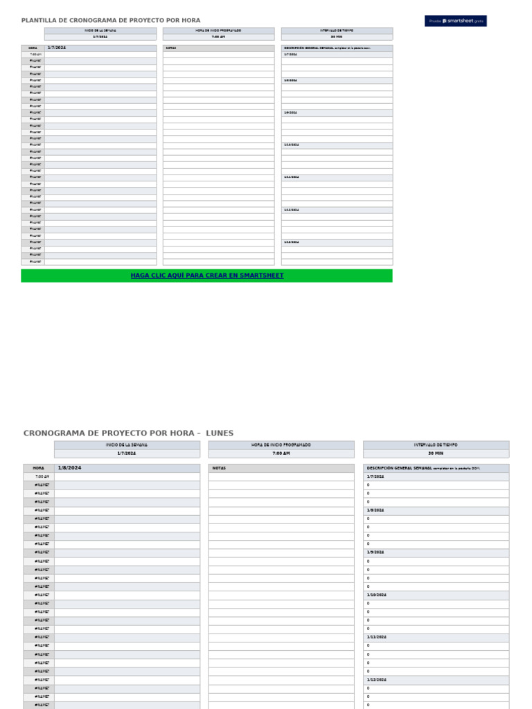 IC Hourly Project Timeline Template for Excel 11412 ES | PDF
