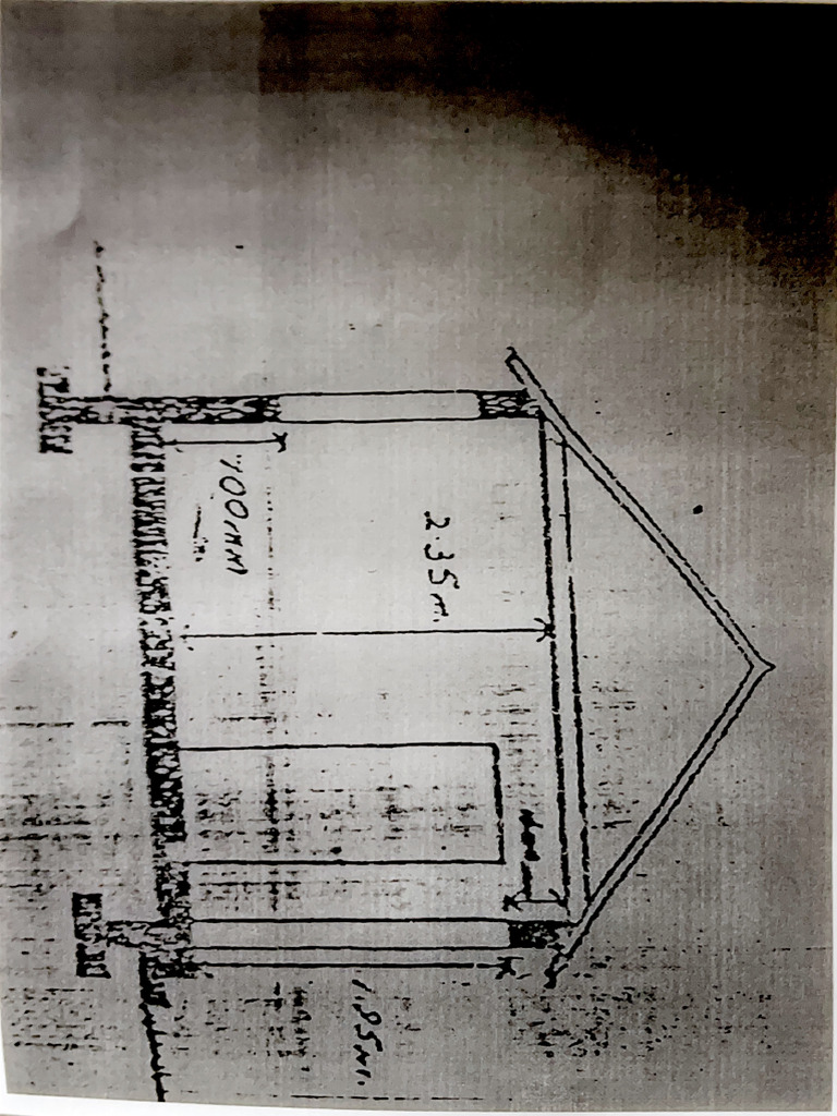 English Darwing | PDF