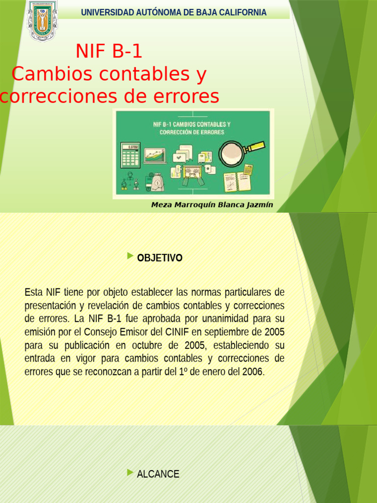 Nif B-1 | PDF | Contabilidad | Estado financiero