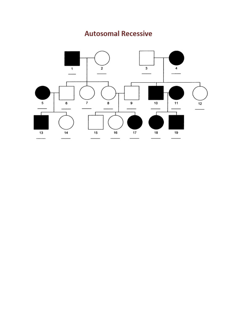 Autosomal Recessive Inheritance Blank Pedigree | PDF