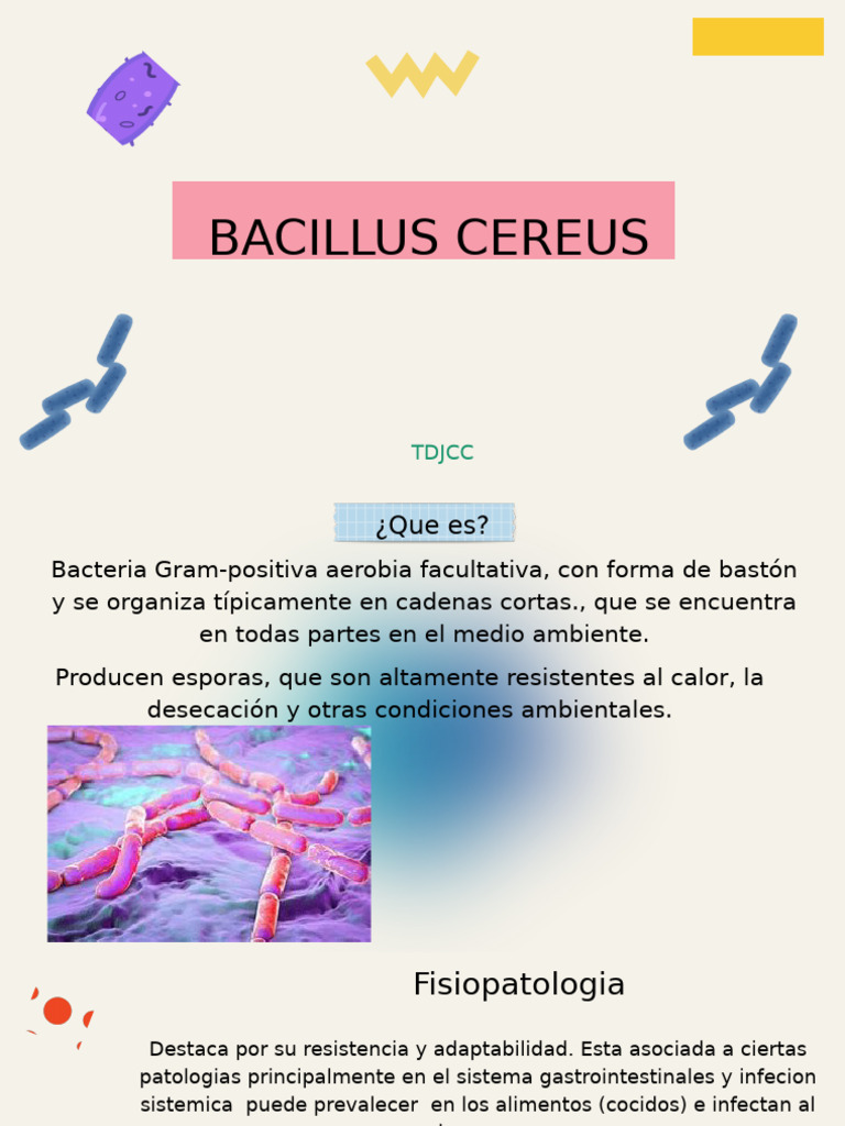 Bacillus cereus: Infecciones y Prevención | PDF | Diarrea ...