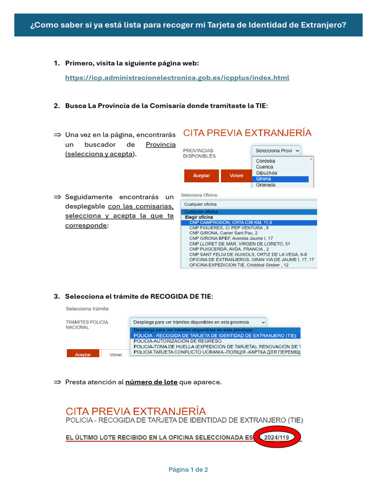 Cómo saber si tu TIE está lista para recoger | PDF
