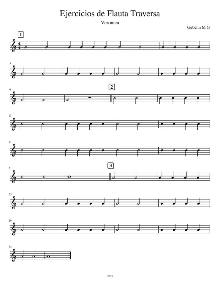 Ejercicios de Flauta Traversa | PDF